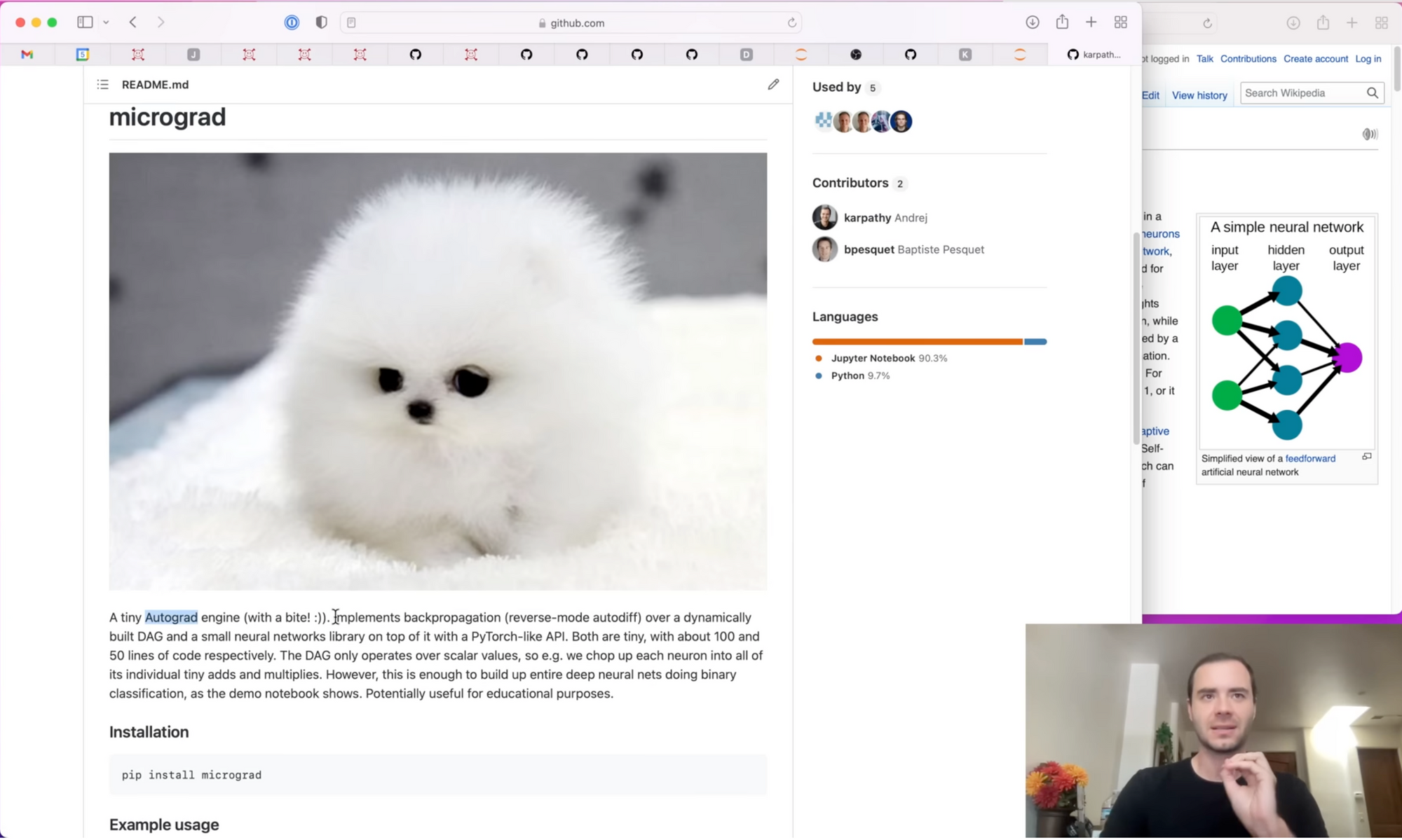 What is micrograd? An Autograd engine by Andrej Karpathy – AI Cartoons